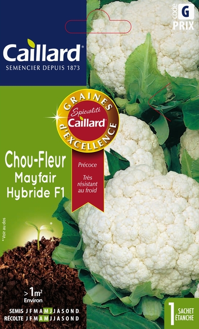 Graines de chou-fleur - Quincaillerie Calédonienne
